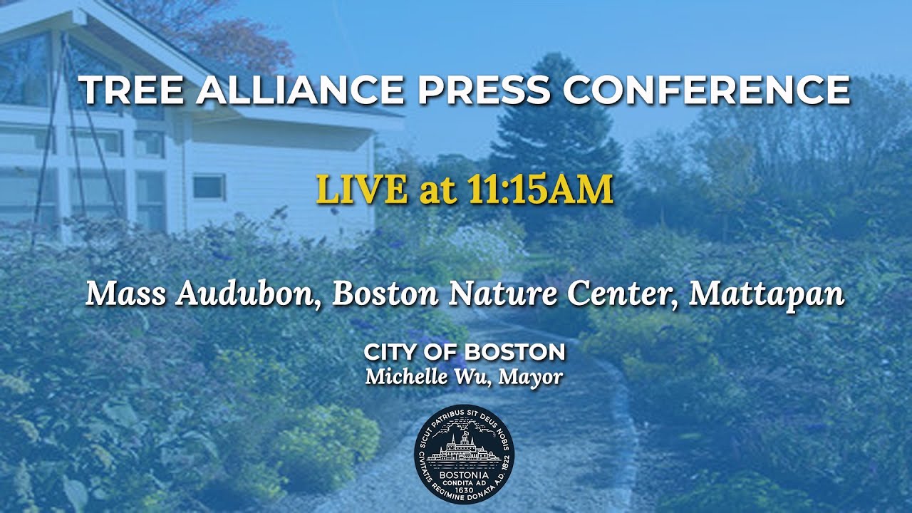 Tree Alliance Press Conference - 5/12/23 - YouTube