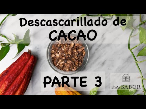 Descascarillado de Cacao CHOCOLATE ALCHEMY Sylph Winnower | Parte 3 ...
