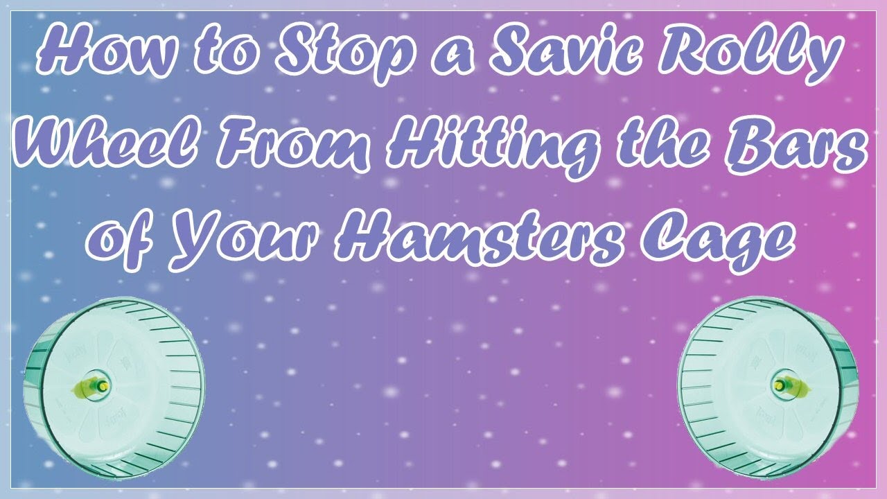 How to Stop a Savic Rolly Wheel From Hitting the Bars of Your Hamsters ...