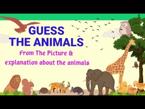 GUESS The Animal From The Picture _ Tebak Binatang Berdasarkan Gambar # ...