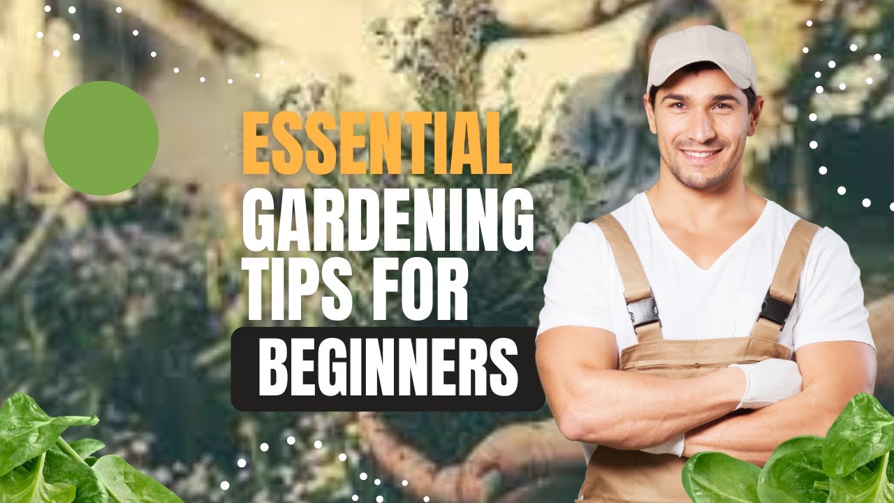 Essential gardening tips for beginner - YouTube