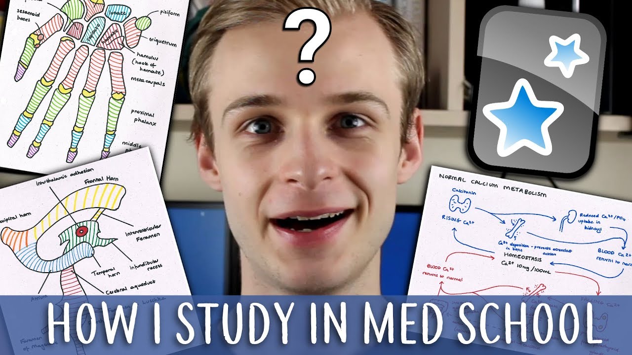 Q A How Do I Study In Medical School Graduate Entry Medicine q-a-how-do-i-study-in-medical-school-graduate-entry-medicine