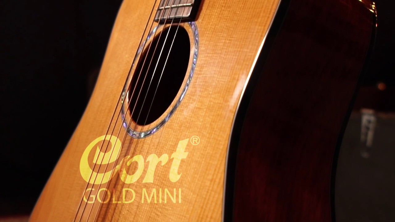 Cort Acoustic Guitar - Gold mini(studio cut) - YouTube
