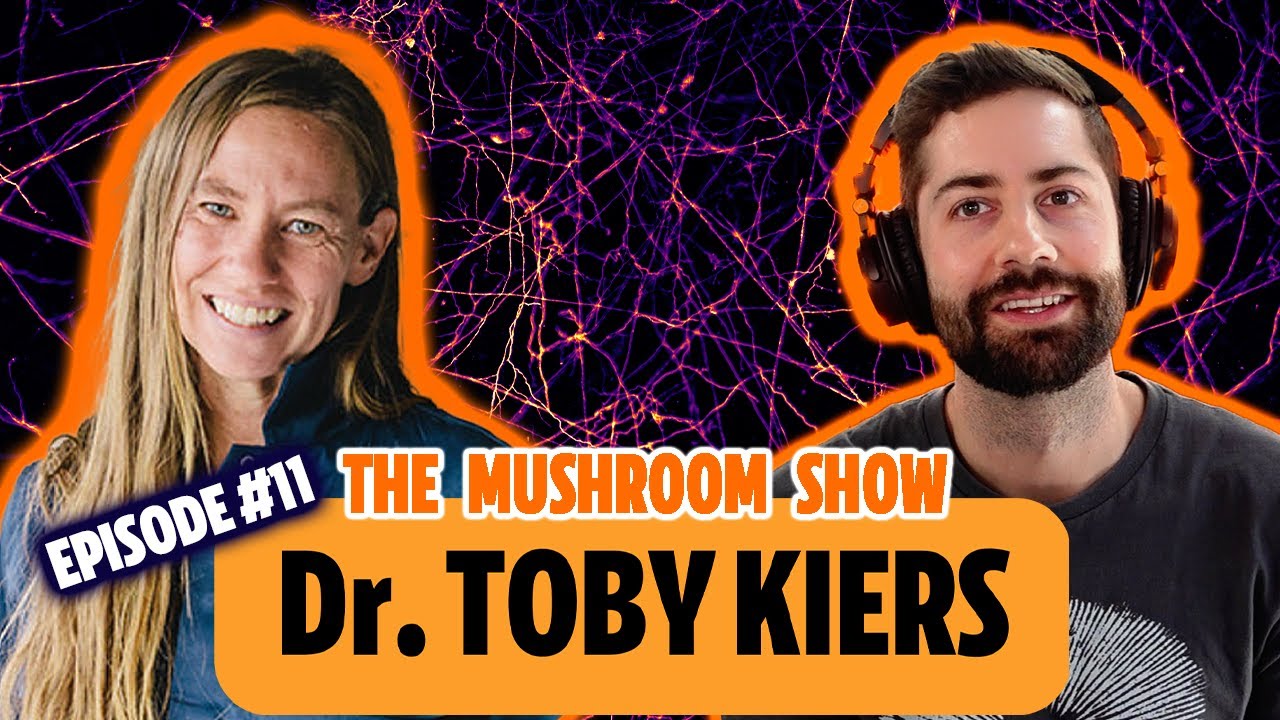 Millions of Miles of Mycelium - The Mushroom Show Episode #11 with Toby Kiers - YouTube
