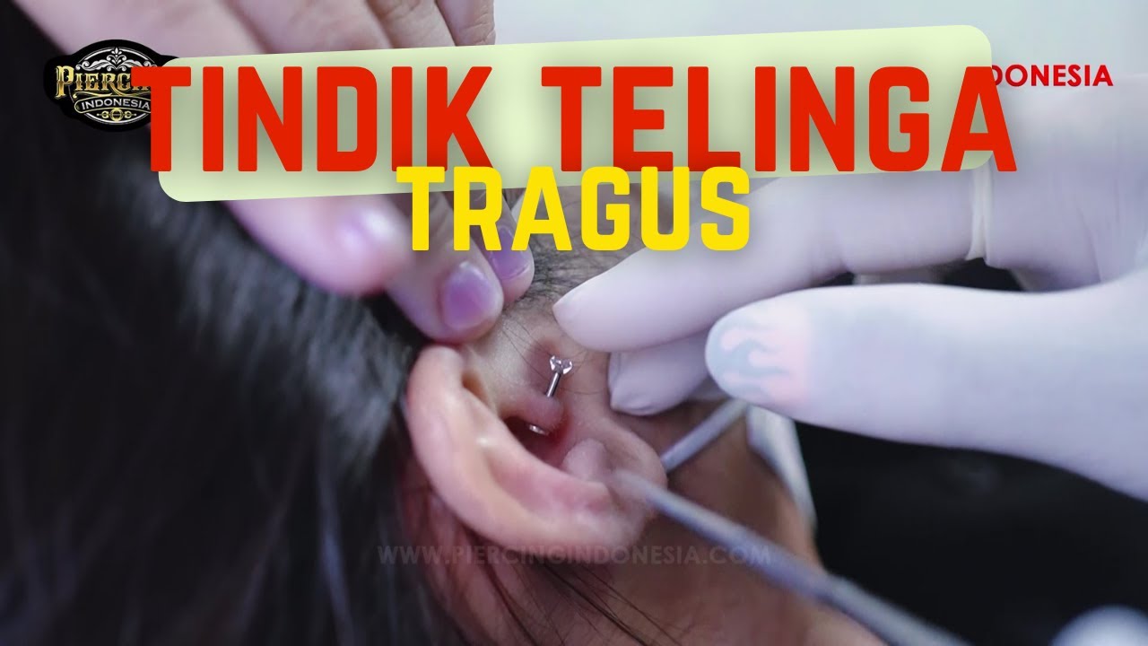 Tindik Telinga Tragus Piercing - BANDUNG #1 PIERCING STUDIO - YouTube