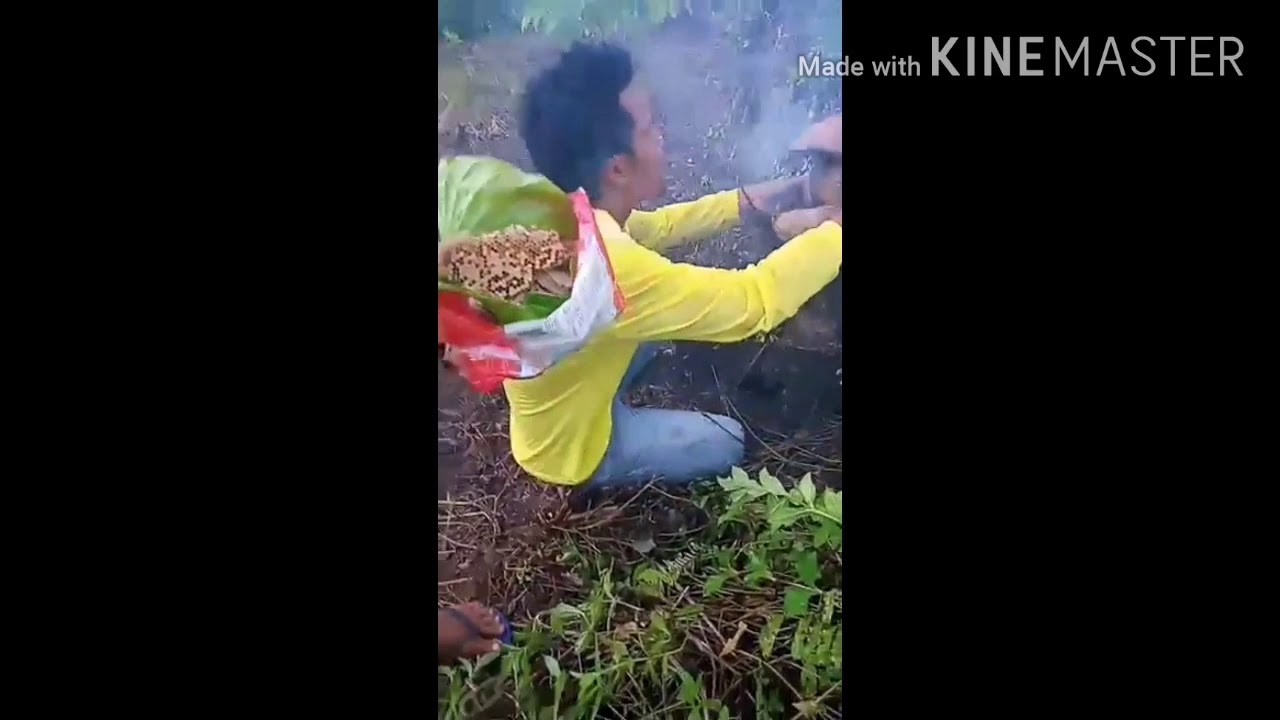 Honey Bee (Pulot-Pukyutan) Part 2 (Kinain Agad) - YouTube