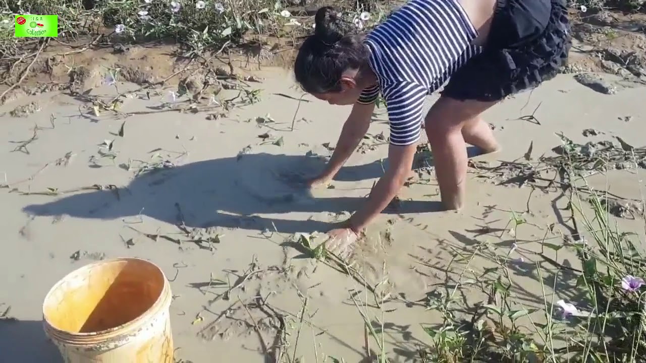 Amazing Fishing Girl Find Fish and Crab in Field - YouTube
