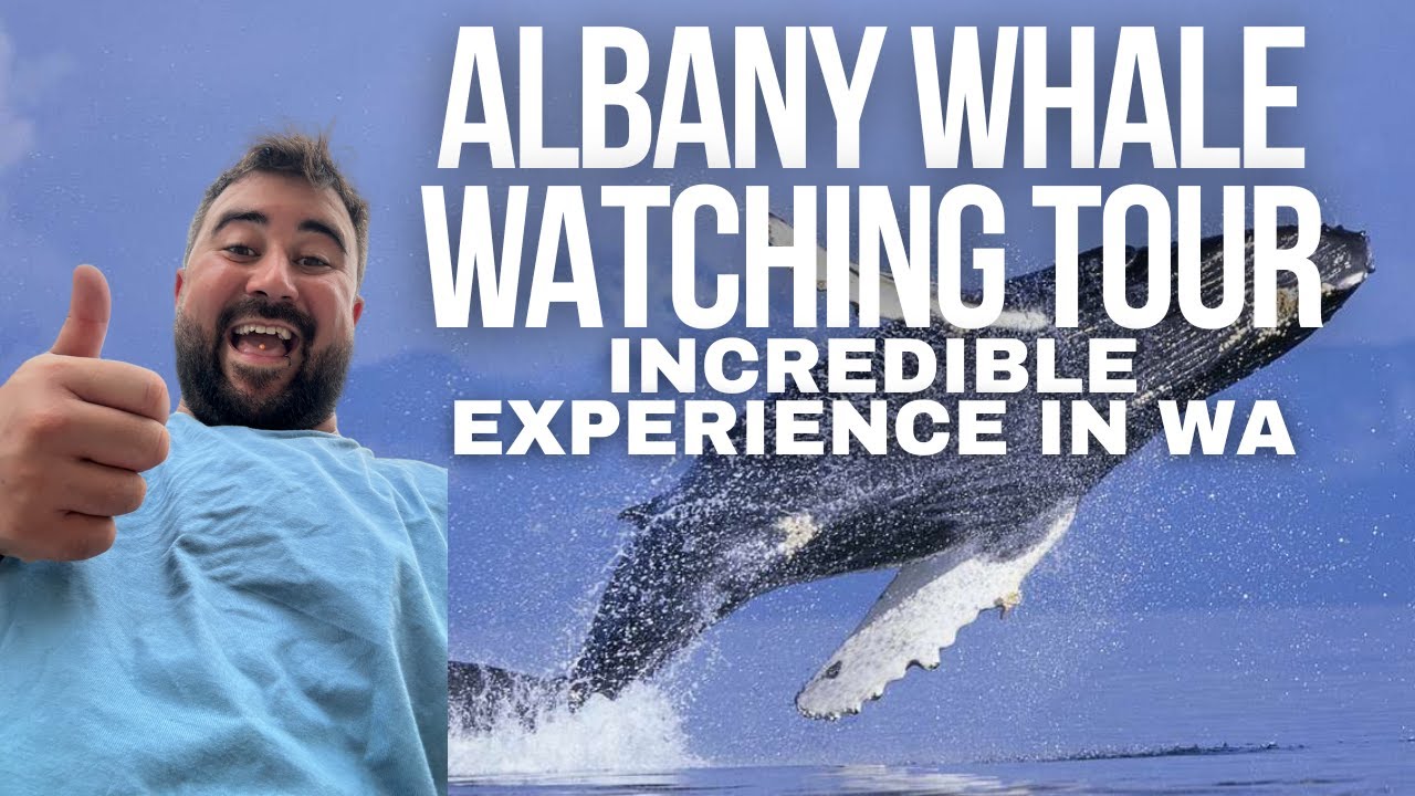 Albany Whale Watching Tour 🐋 | Incredible Experience in WA - YouTube
