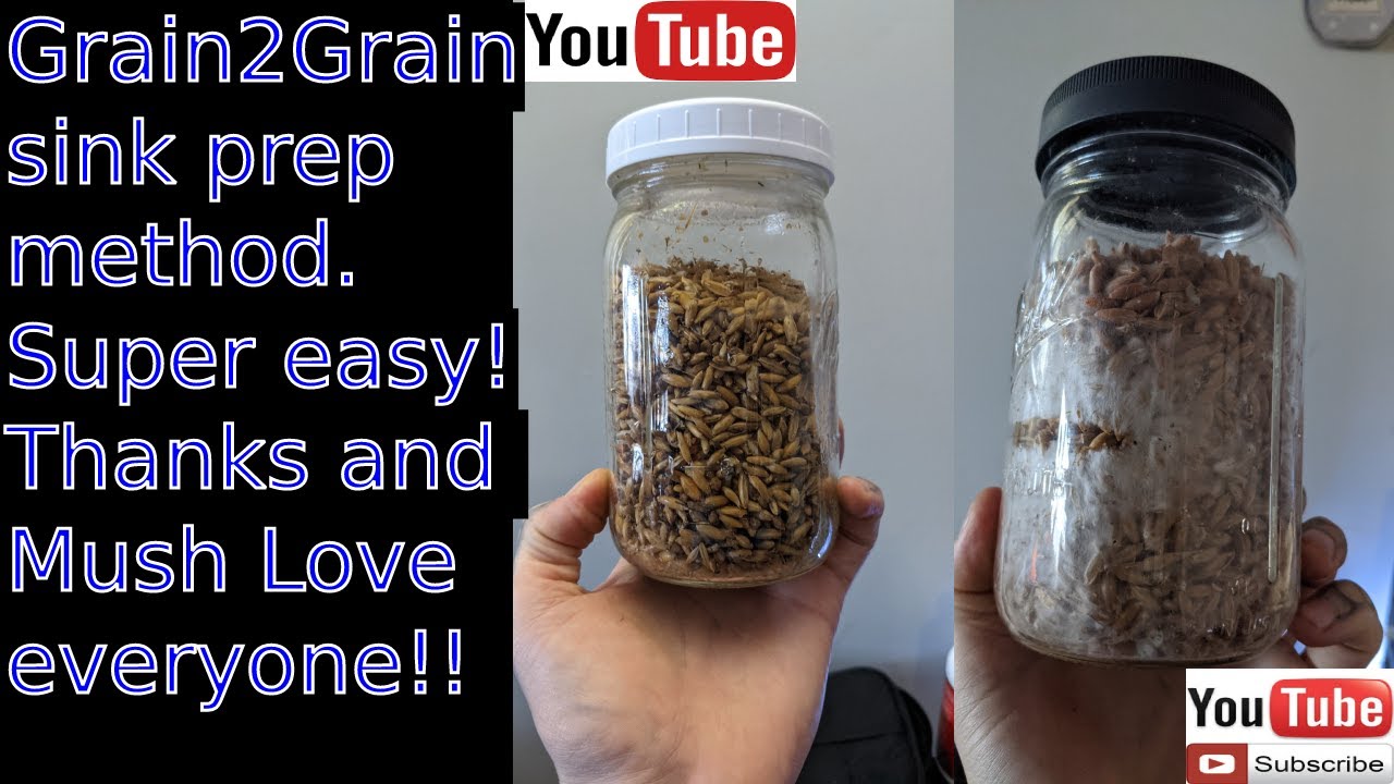 How to prep your grain jars for the pressure cooker. - YouTube