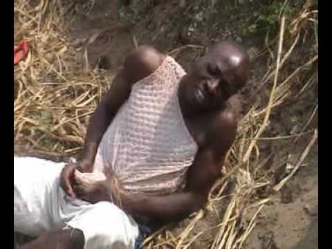 Les Amirals-c'est la vie