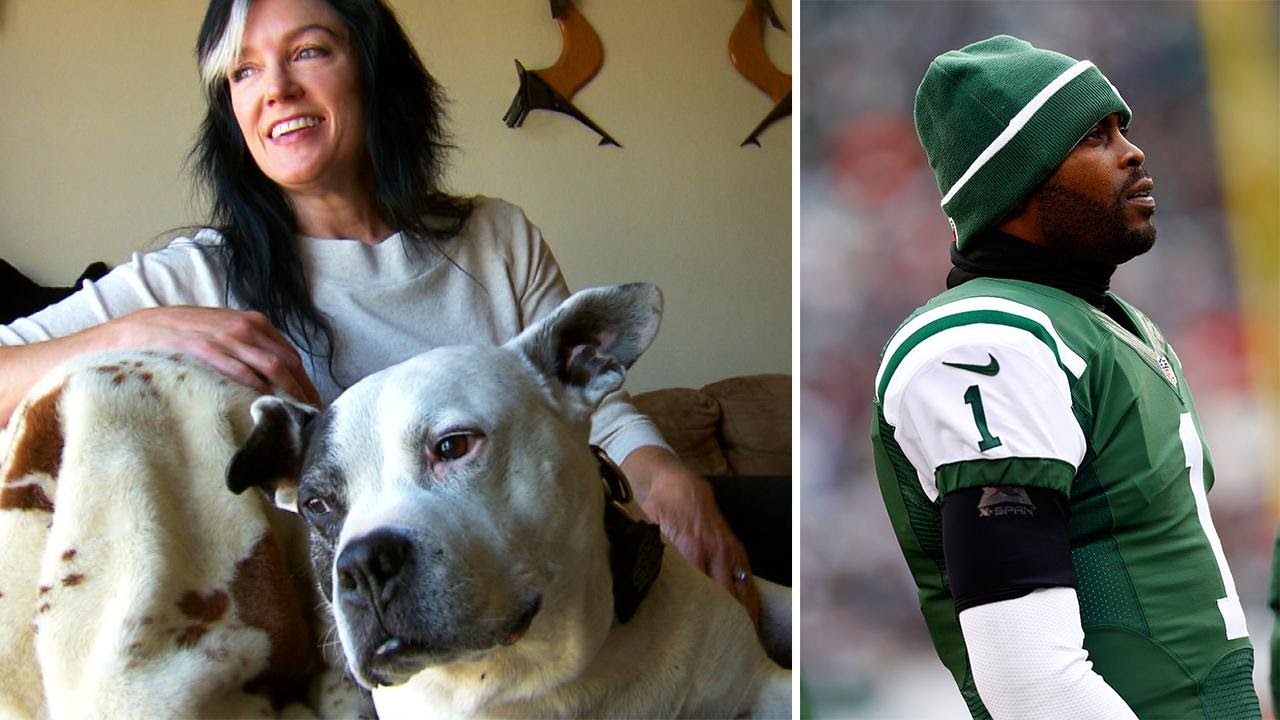 What Happened To Michael Vicks Dogs