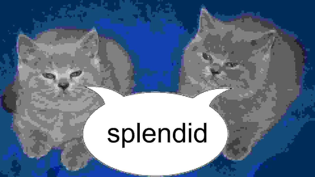 splendid - YouTube