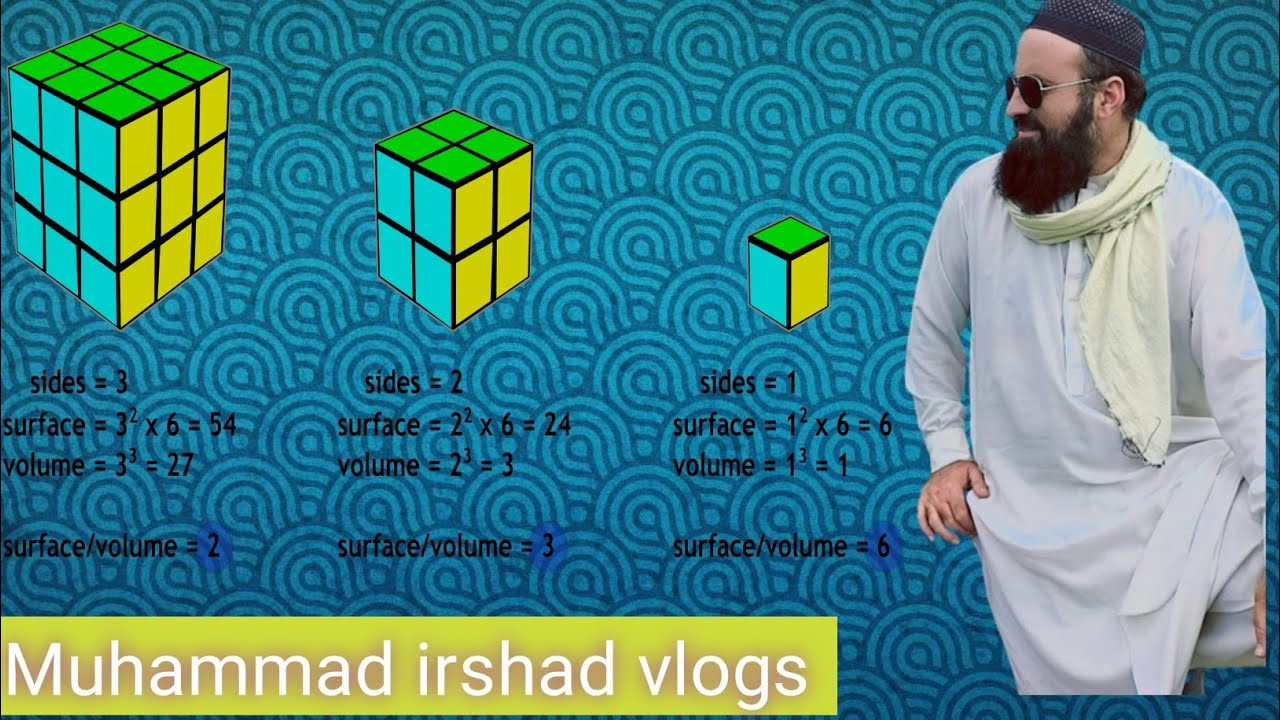 Surface Area To Volume Ratio 9th Class Biology In Pashto YouTube surface-area-to-volume-ratio-9th-class-biology-in-pashto-youtube