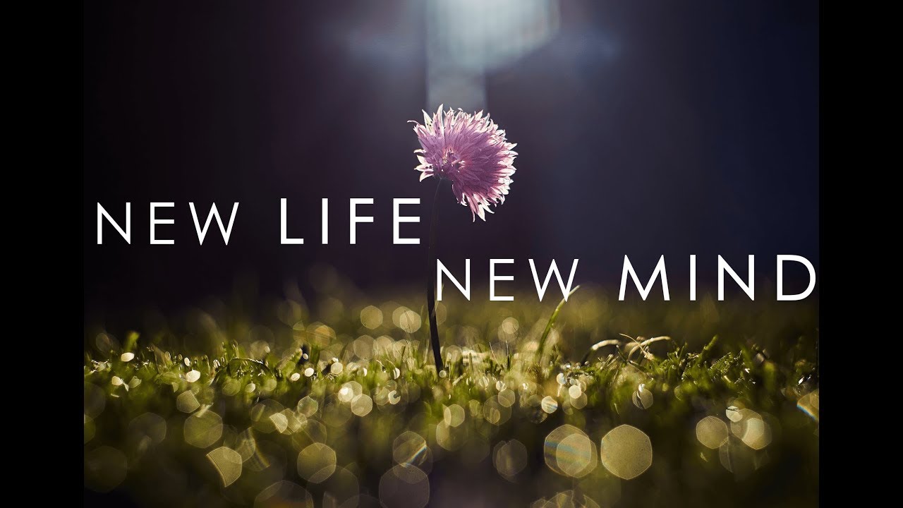 New Life New Mind Part 1 // Pastor Steve Hannett // 06-10-18 ...