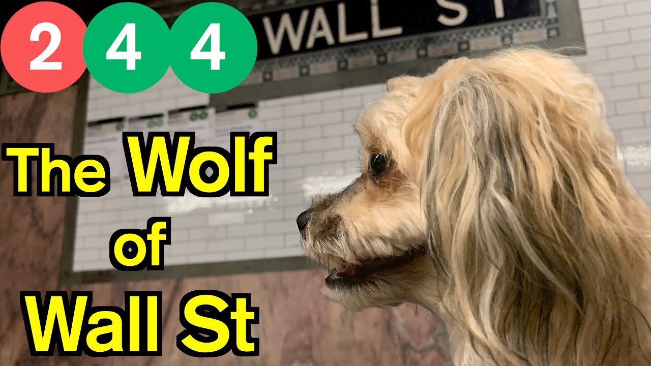 The Wolf of Wall St - origin story - YouTube