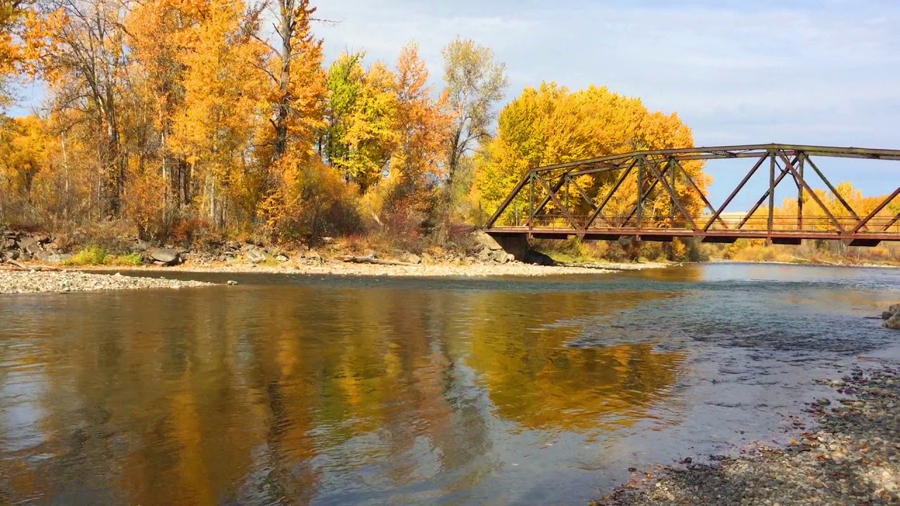 Fall Colors Along The Gallatin River, Axtell Bridge, Bozeman, Montana ...