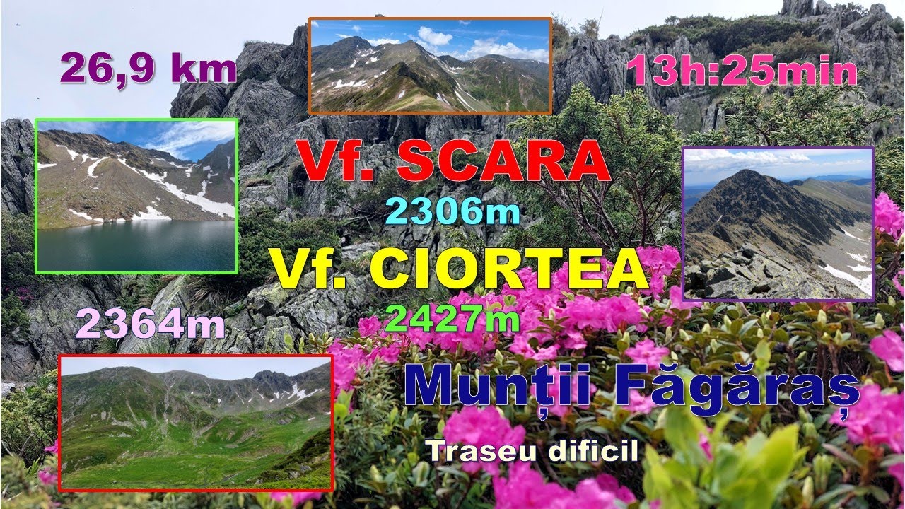 Vârful Scara, vârful Ciortea, munții Făgăraș, 08 iun. 2024 - YouTube