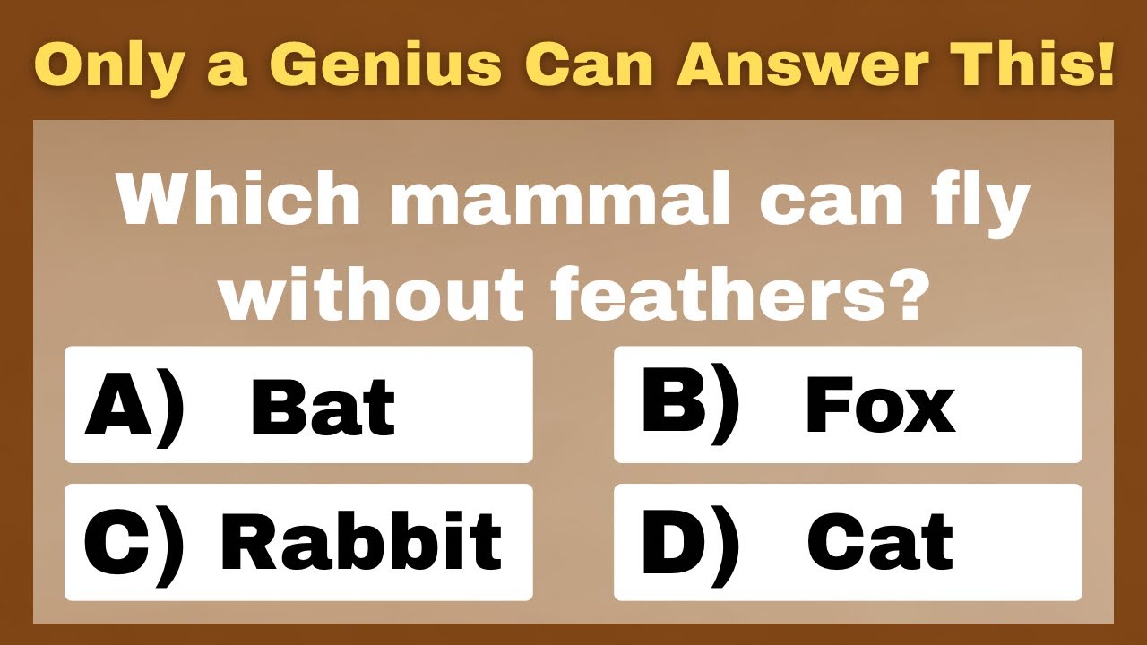 Only True Animal Lovers Can Score 10/10! 🐾 Ultimate Mammal Quiz ...