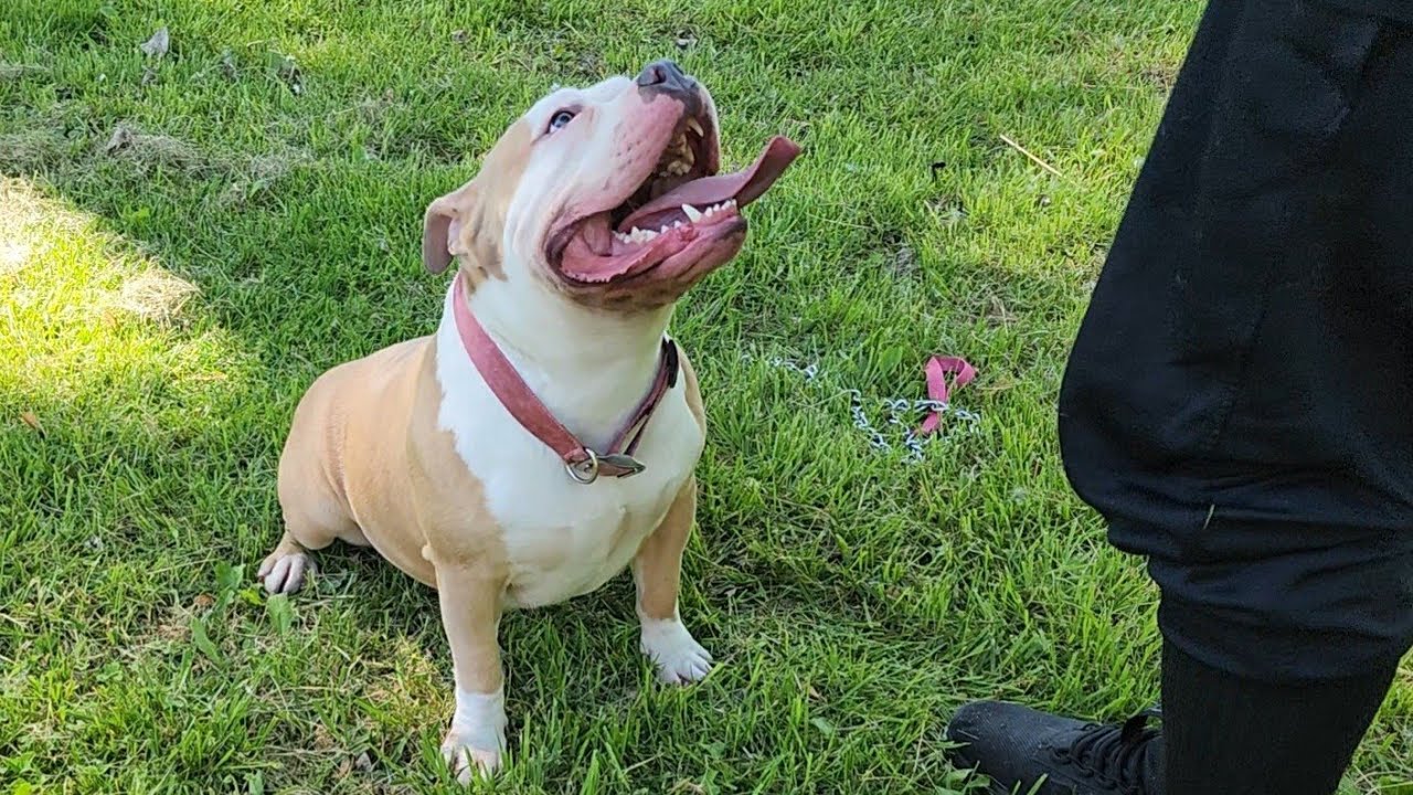 LET US KNOW WHAT YOU THINK DOES SAINT LOOK LIKE SHE TOOK WITH KONG 🤔 ...