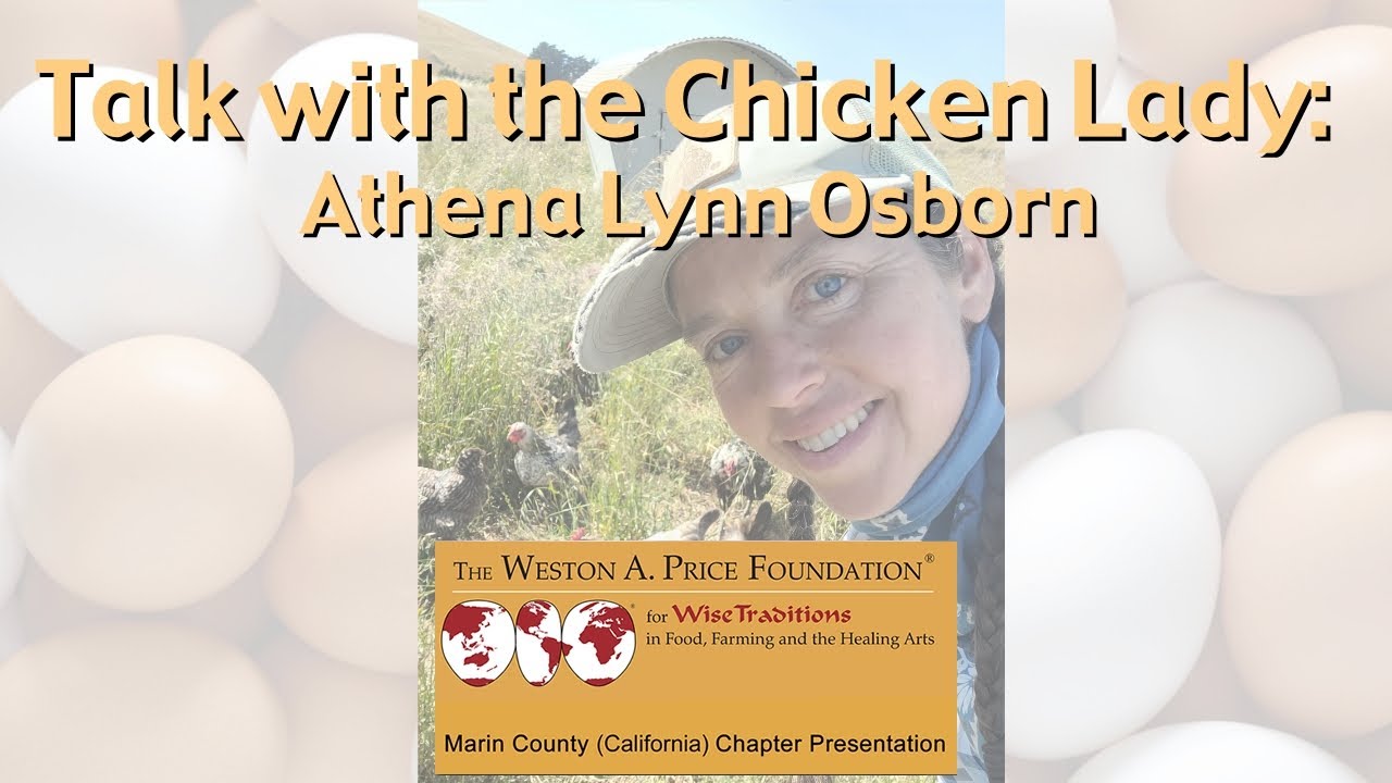 Talk With The Chicken Lady - YouTube