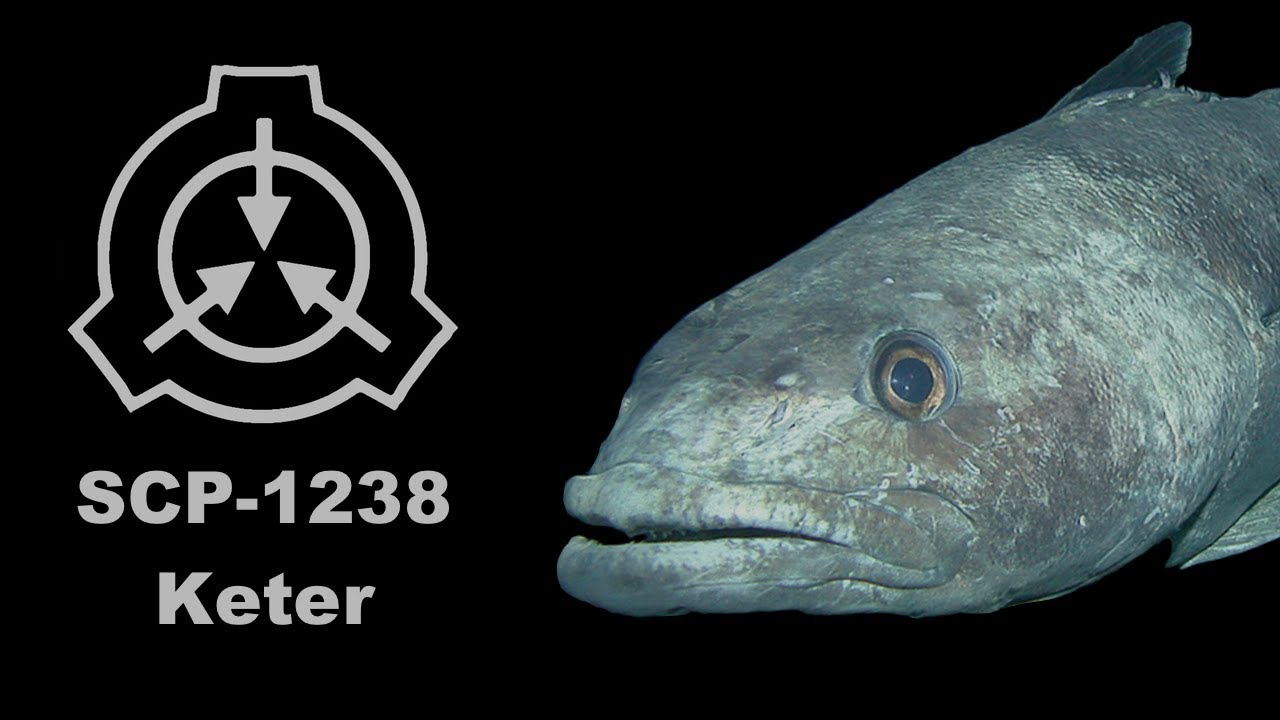 SCP-1238: Tunnelfish - YouTube