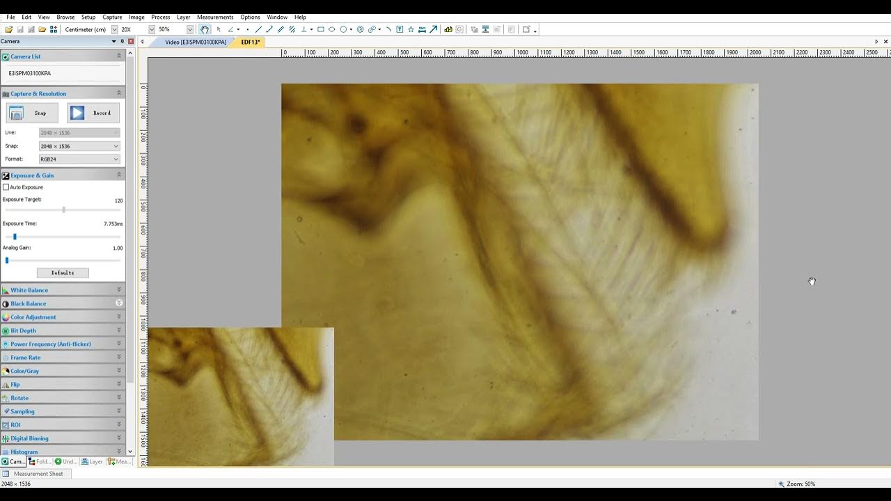 Imageview Microscope Camera Software Live Edf Youtube