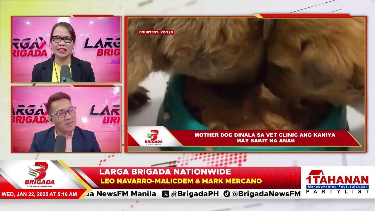 LARGA BRIGADA NATIONWIDE - JANUARY 22, 2025 - YouTube