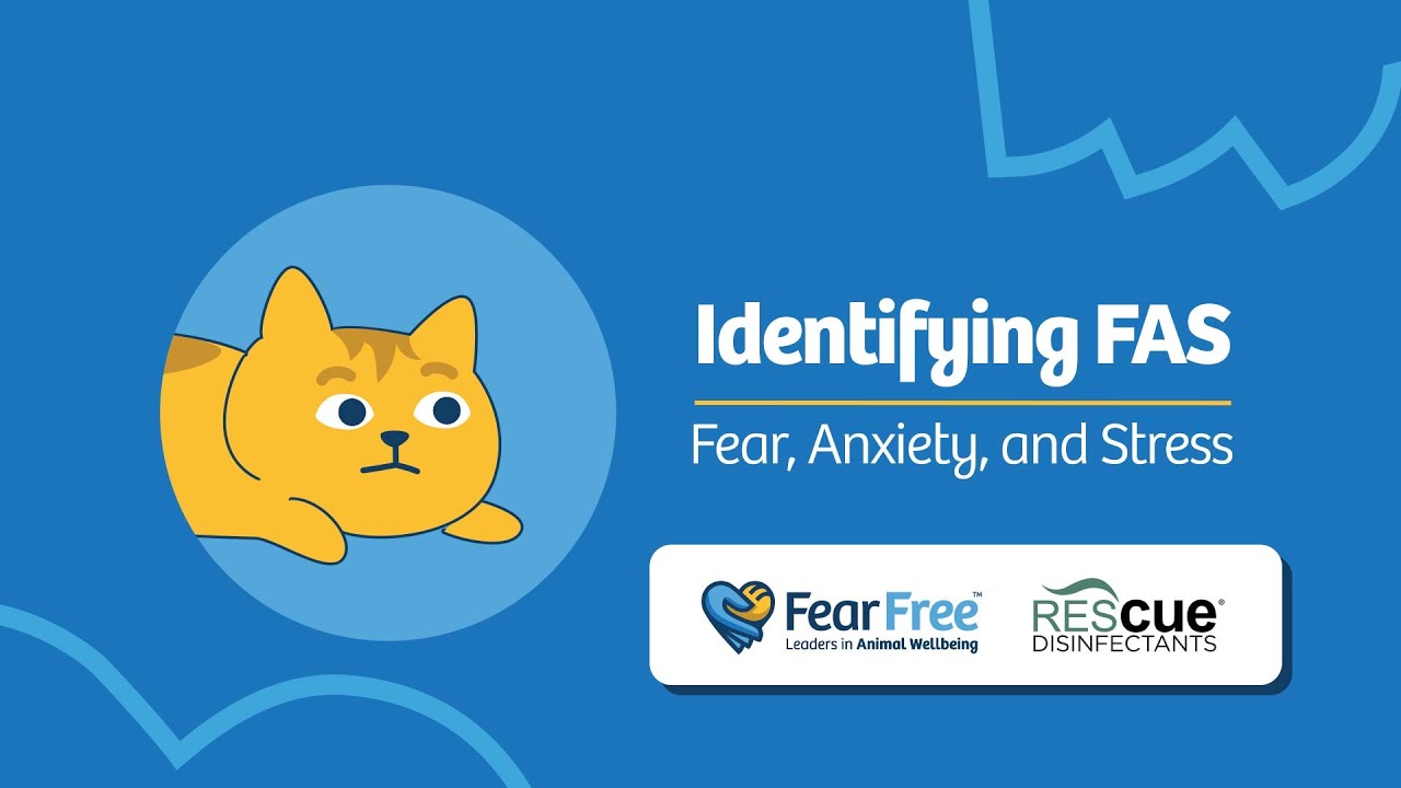 Identifying FAS - YouTube