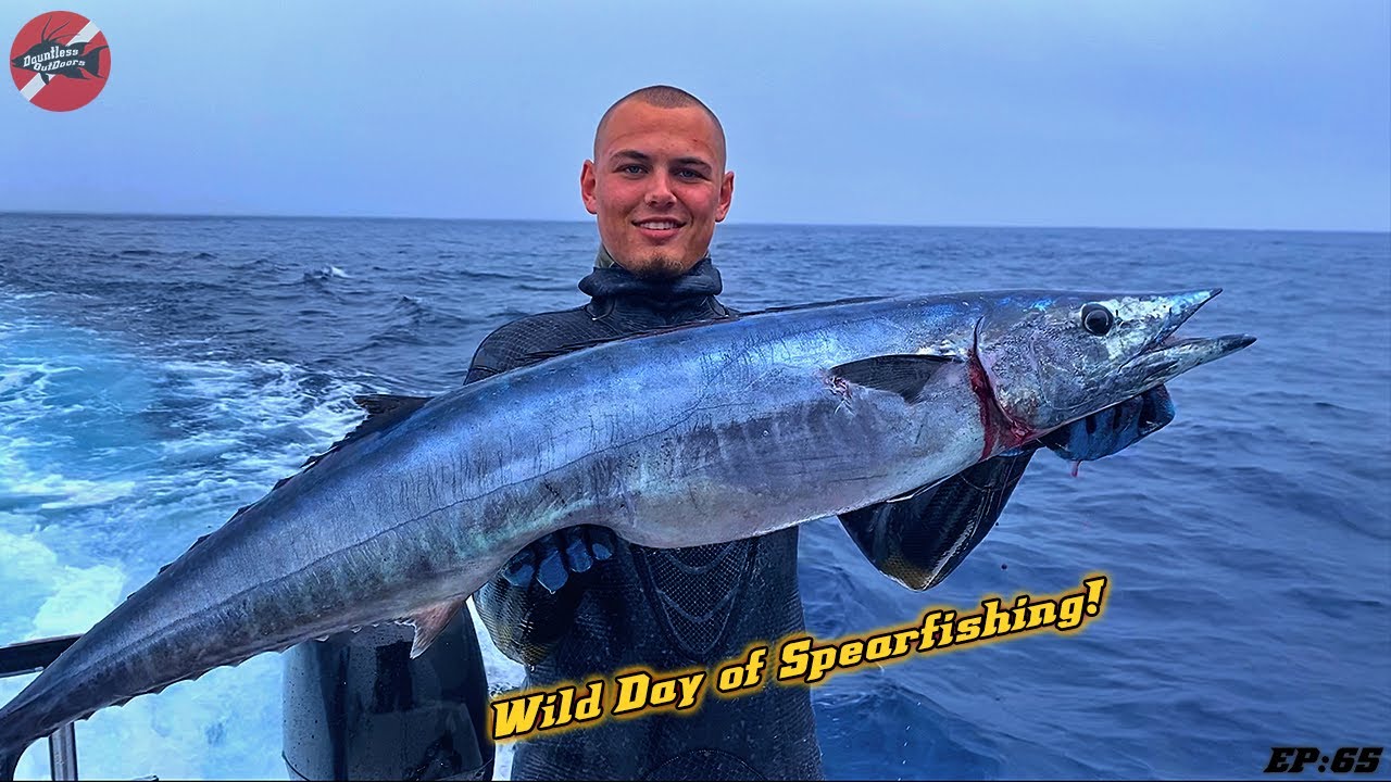 My Best Day Of Spearfishing Ever!? - YouTube