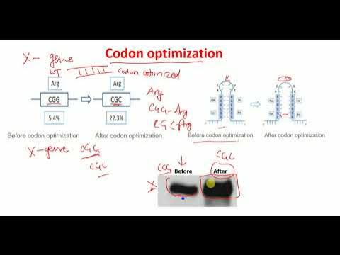 Codon optimization for beginners | Codon bias | - YouTube