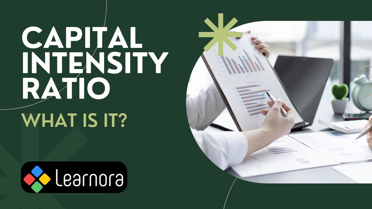 Capital Intensity Ratio | Learnora - YouTube