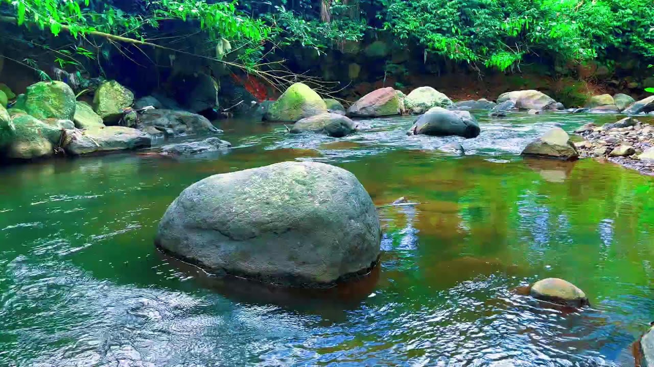 Rain on River Ambience | Relaxing Water Sounds for Deep Sleep ...