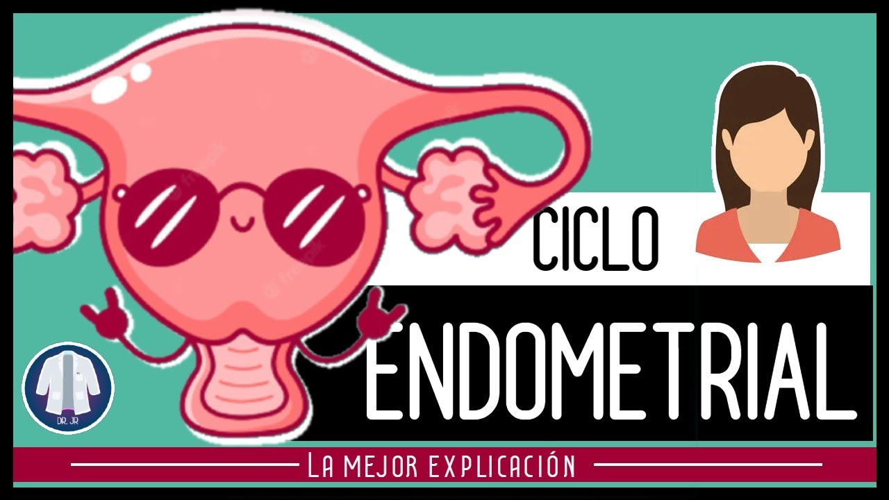 CICLO ENDOMETRIAL (MENSTRUAL) | EXPLICADO DR -JR - YouTube