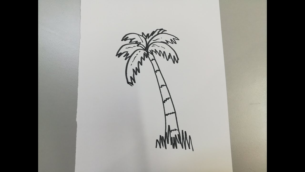 How to draw palm tree for kids - YouTube