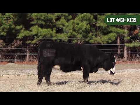 Lot 61: K139 - YouTube
