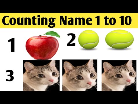Learn 1 to 10 Counting &fruits Animals/ 123 Number name/1234 Counting ...