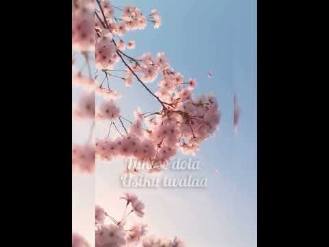 Fannix Ke— My Baby/Nakupenda Sana Baby Niamini( Official Lyrics Video)