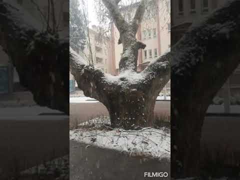 Kar yağar kar üstune Manisa Kula