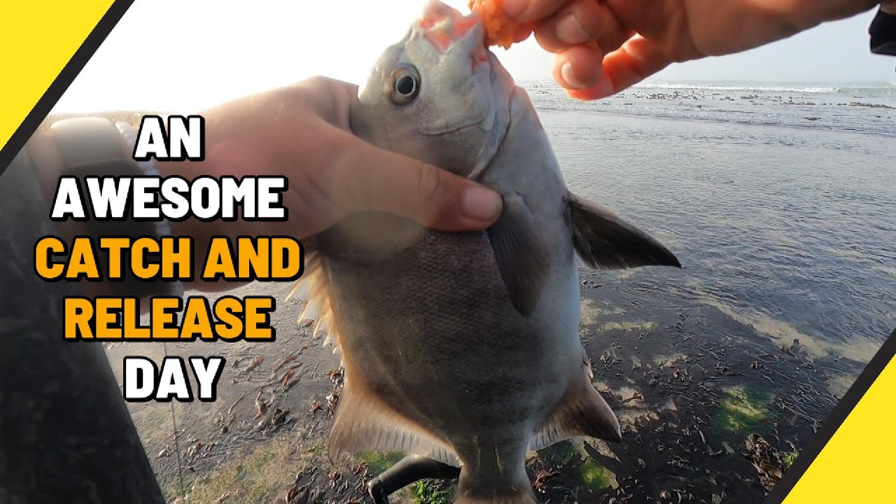 An awesome day of catch and release - YouTube
