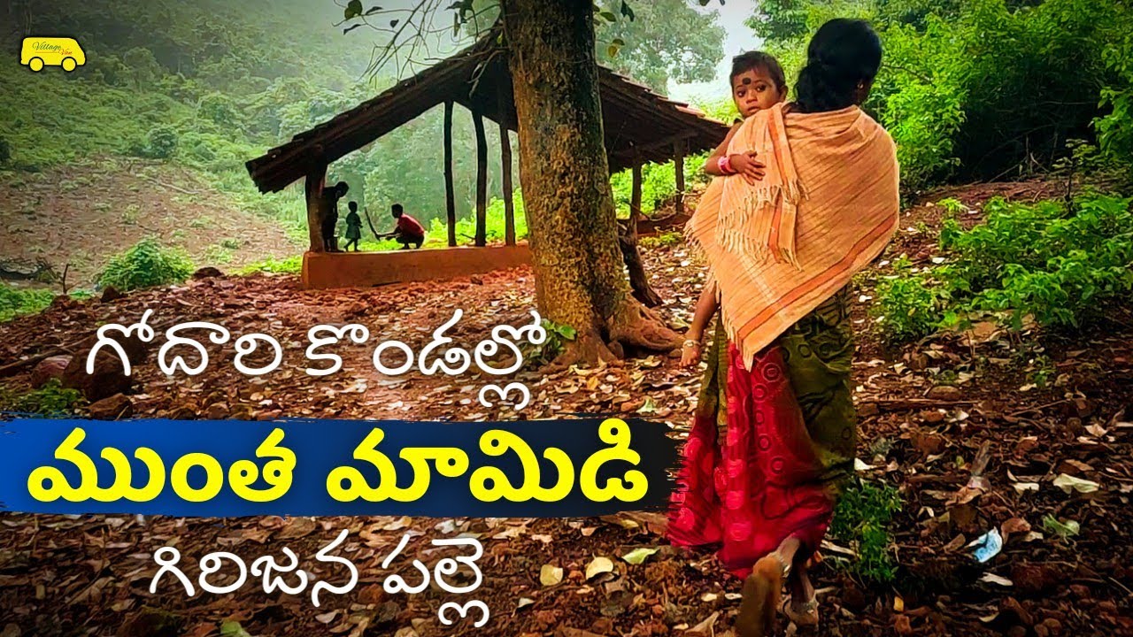 Muntha Mamidi - A Tribal Village in Godavari Forest ముంత మామిడి ...