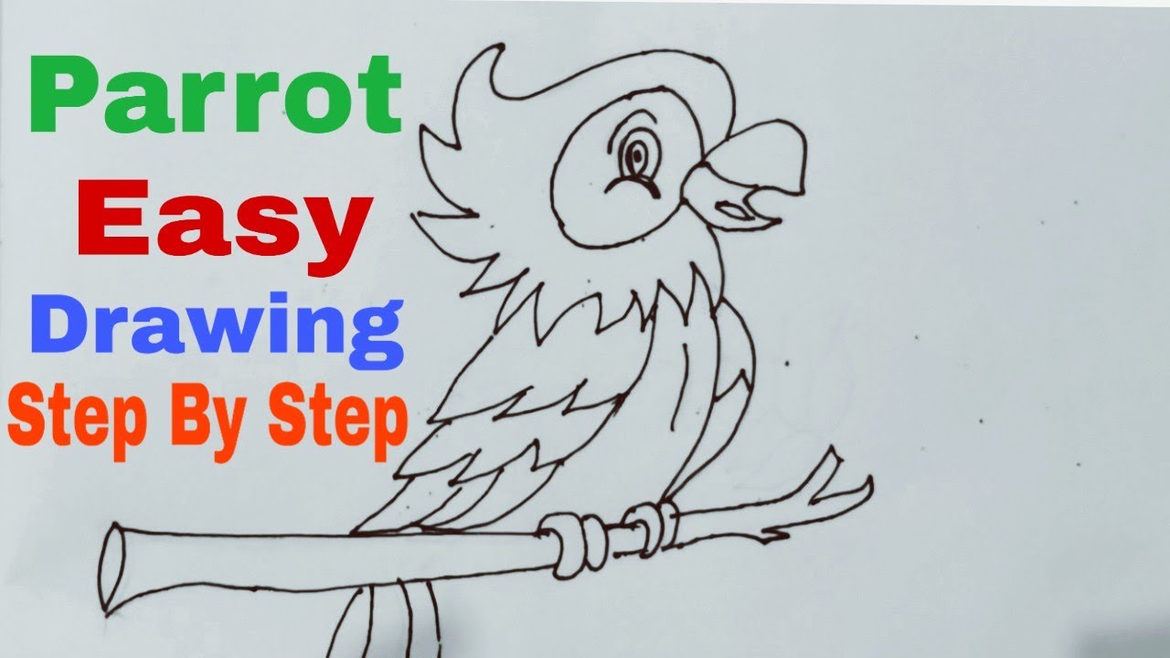 Parrot Easy Drawing | Step By Step | Drawing For Kids | Drawing with ...