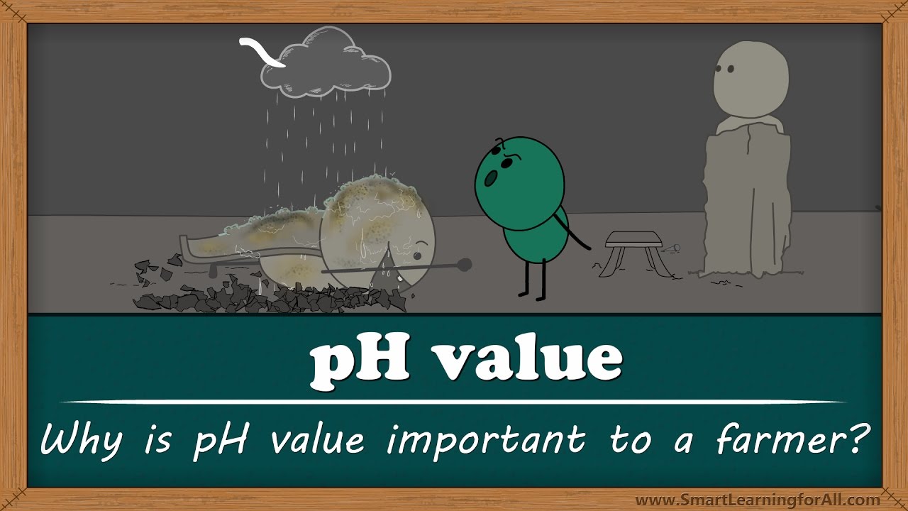 Why Is Soil PH Important To Farmers aumsum kids science 