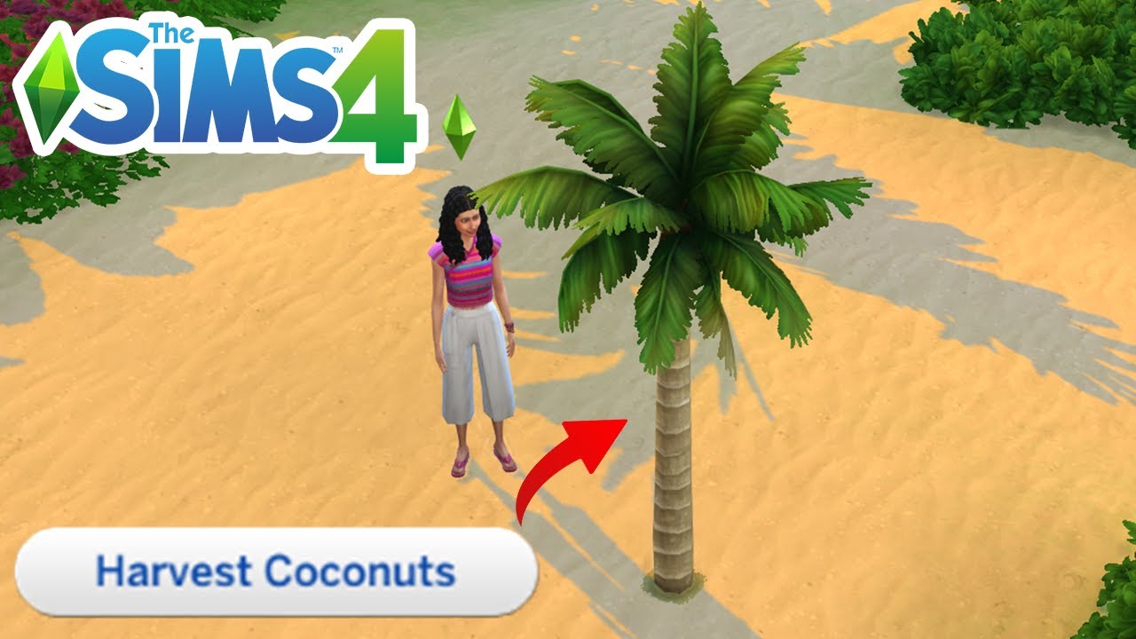 How To Find A Coconut Tree (Location To Get Coconuts) - The Sims 4 ...