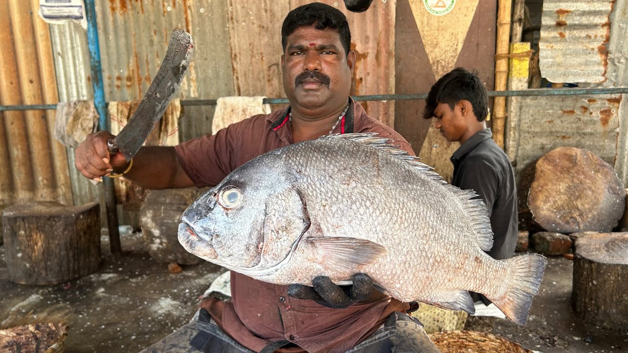 UDHADI FISH 🐟 KASIMEDU MINNAL RAJA FISH CUTTING SKILLS #kasimedu - YouTube