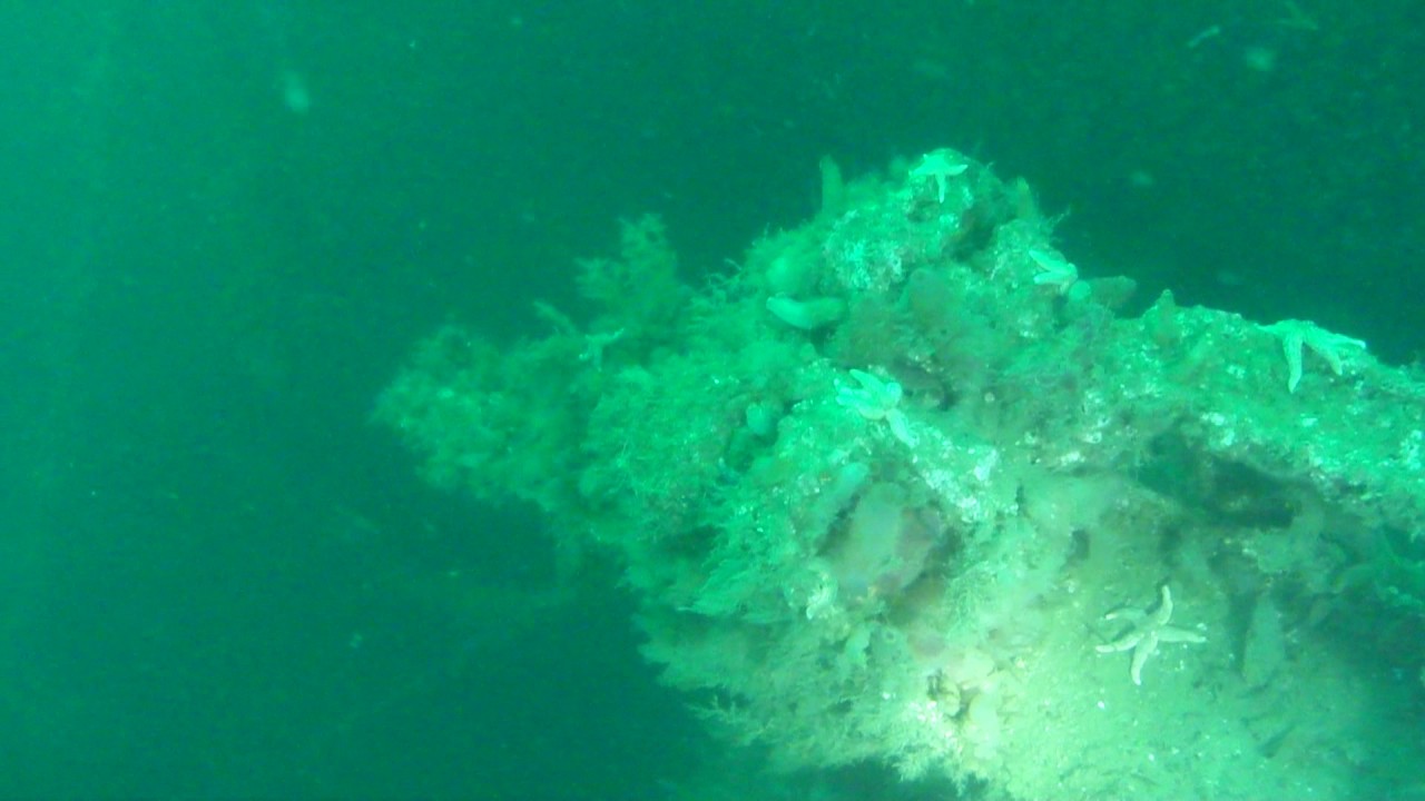 SMS Brummer - YouTube