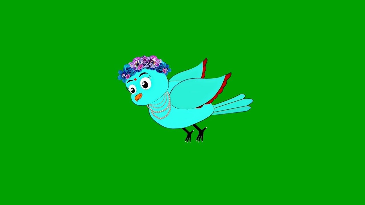 Bird Cartoon Green Screen/Tuni Chidiya Green Screen/Bird Green Screen ...