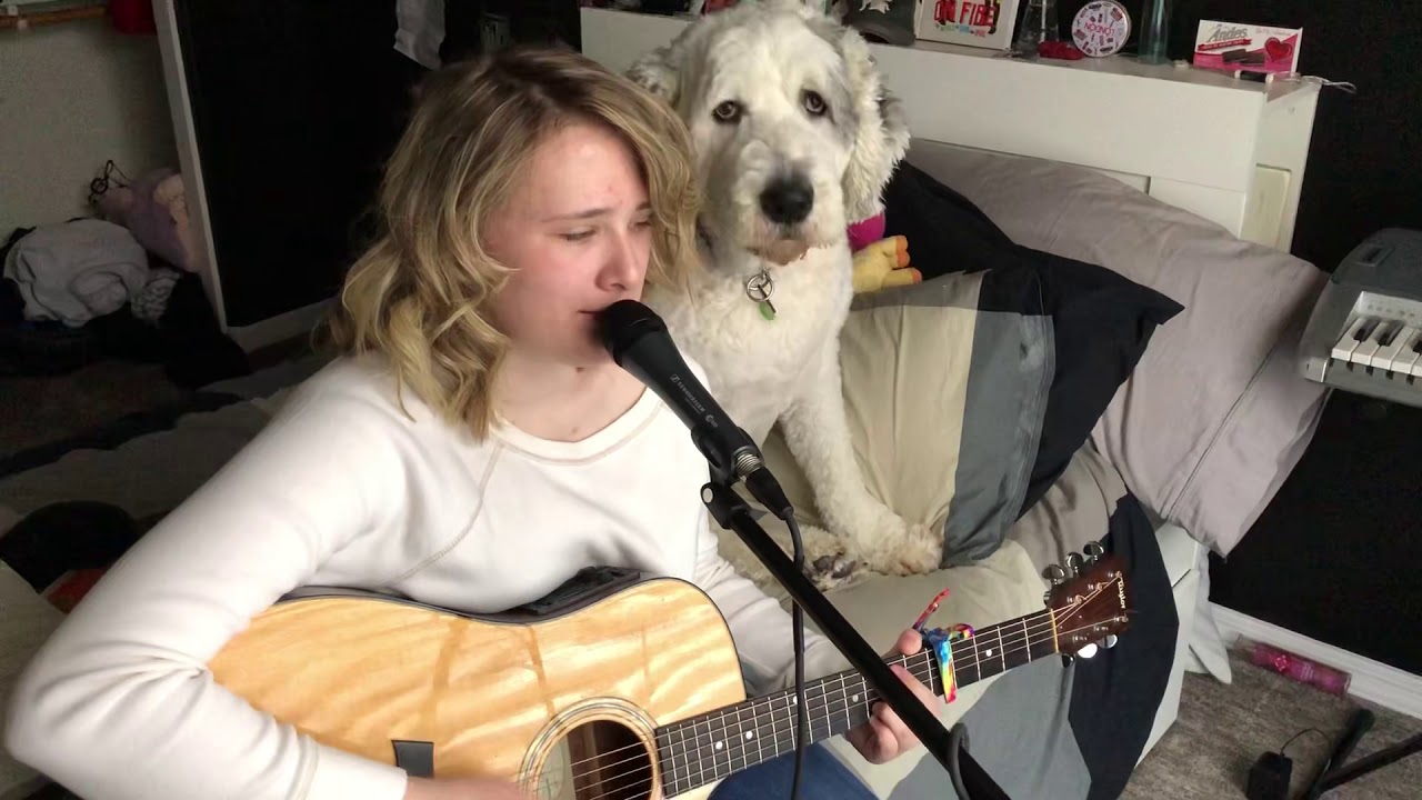 Try Not To Laugh As I Play Ed Sheeran With My Dog Teddy - YouTube