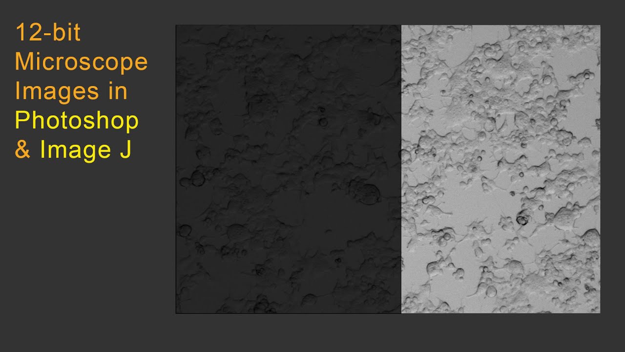 12- to 16-bit scaling and viewing in Photoshop, Image J - YouTube