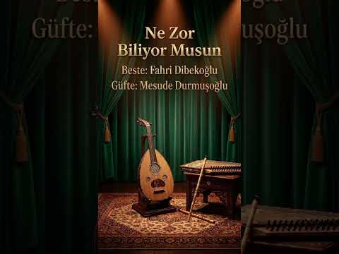 NE ZOR BİLİYOR MUSUN