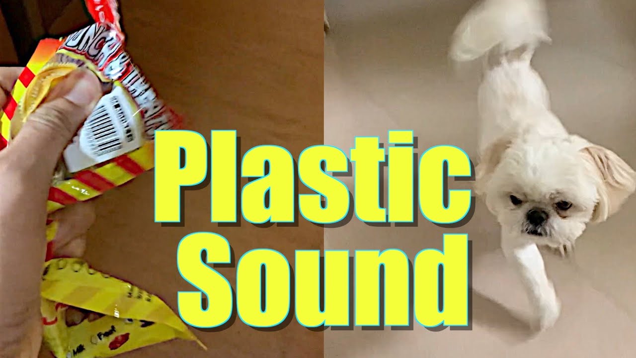 This Is What Happens When A Dog Hears A Plastic Wrapper Sound this-is-what-happens-when-a-dog-hears-a-plastic-wrapper-sound
